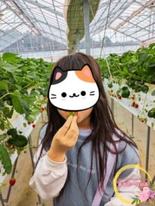 アクアマリンふくしま周辺で子連れ日帰り！いちご狩り＆温泉まったりコース | あすきーらいふ